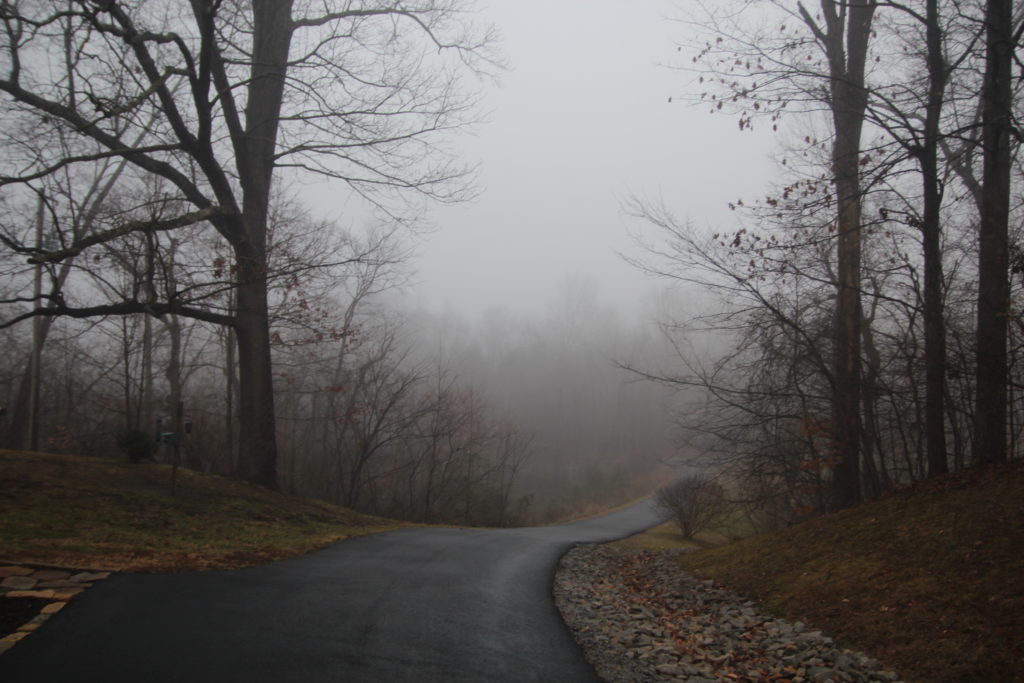 The Fog - Laura Benedict