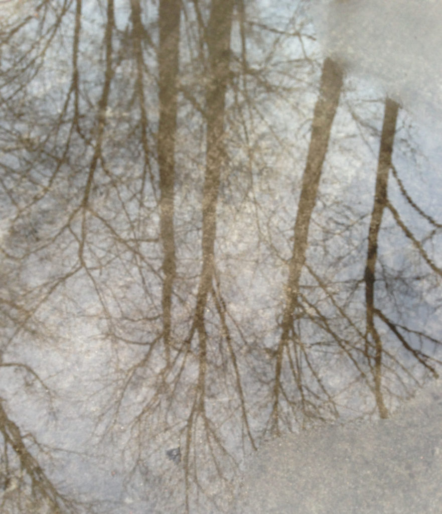 The Raindrop Prelude - Laura Benedict