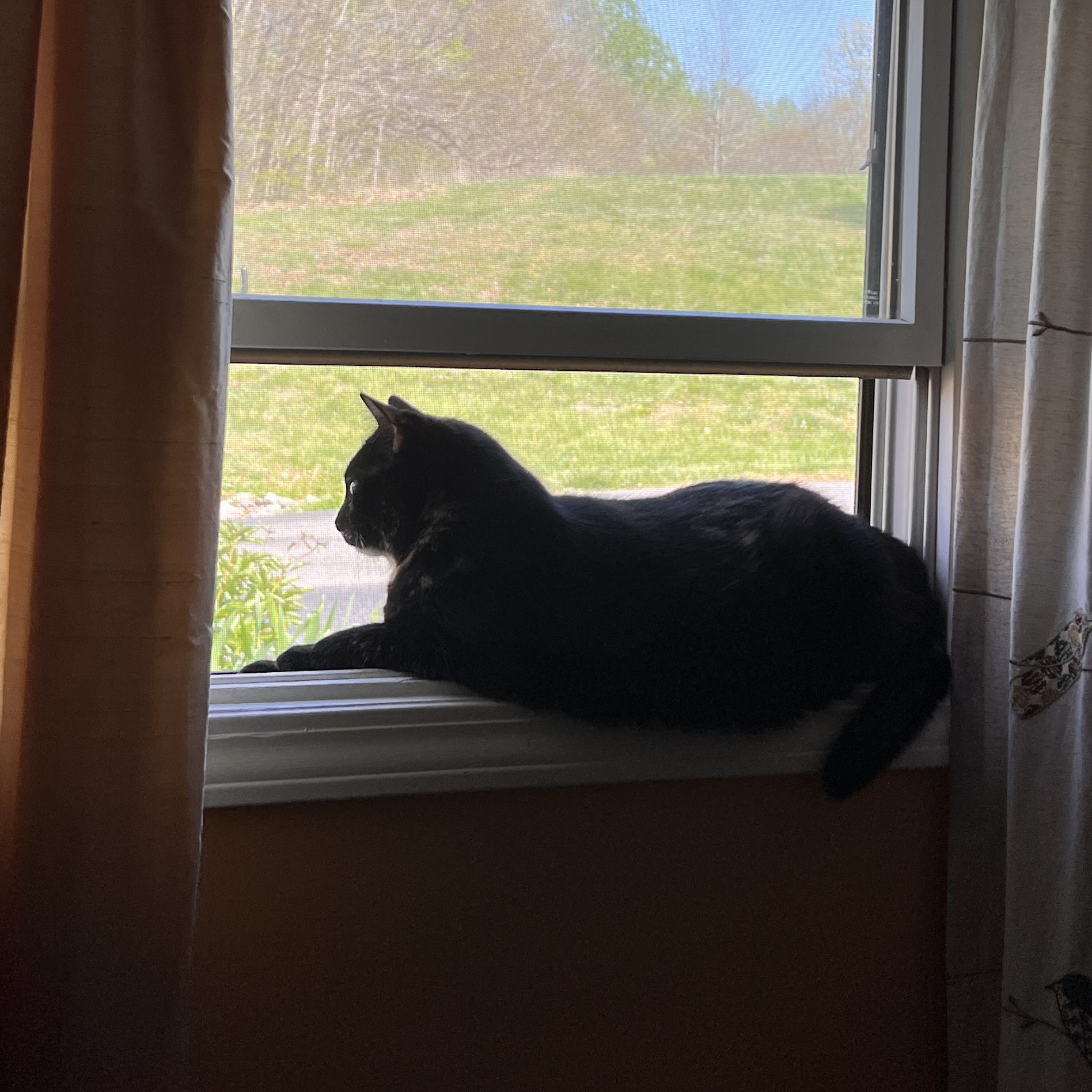 Revealing Landscapes of the Heart - Laura Benedict